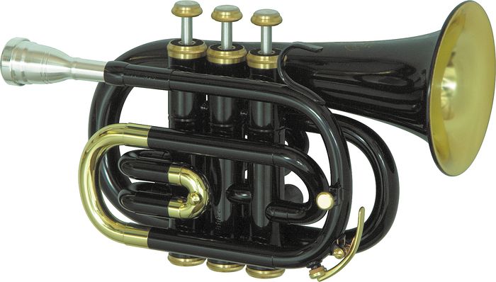 Amati Atr 314 Bb Pocket Trumpet Black | Gedoo