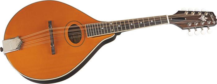 My Daughter Wants a Mandolin for Christmas - Discussion Forums - Banjo ...