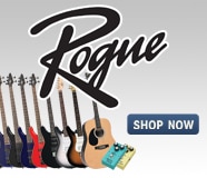 12-String Acoustic Guitars | Musician's Friend